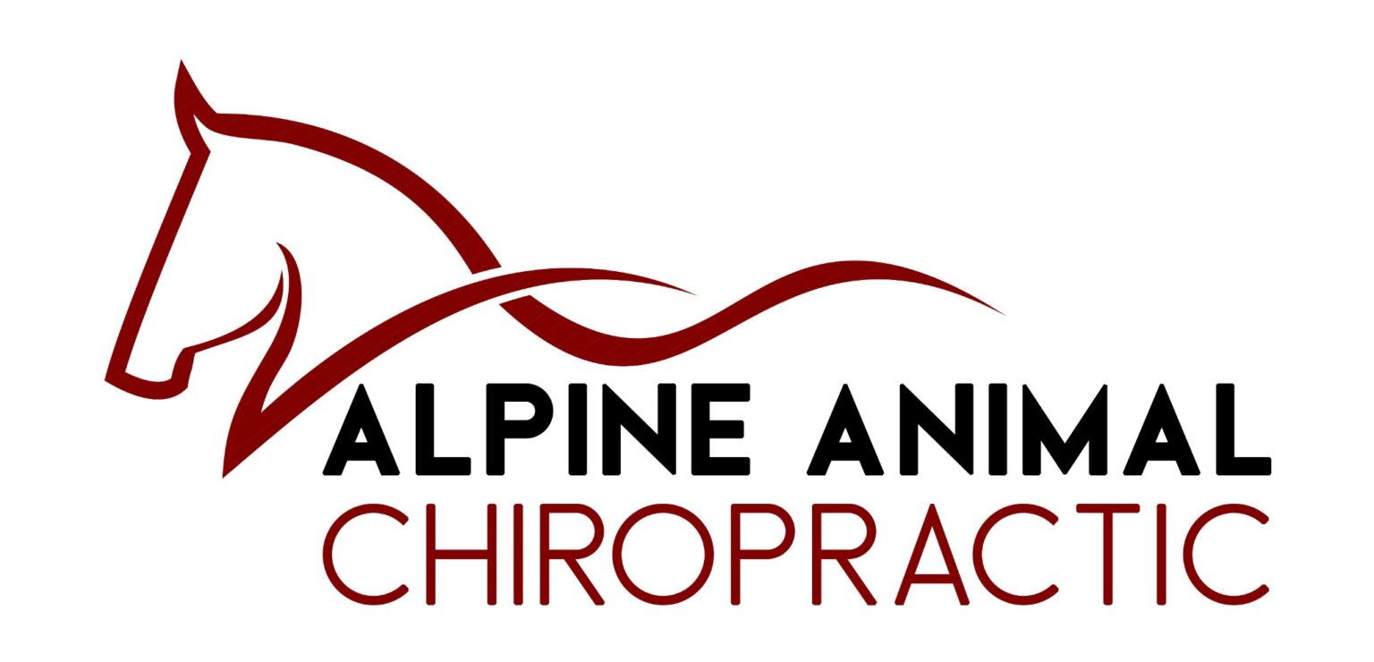 Home - Alpine Animal Chiropractic